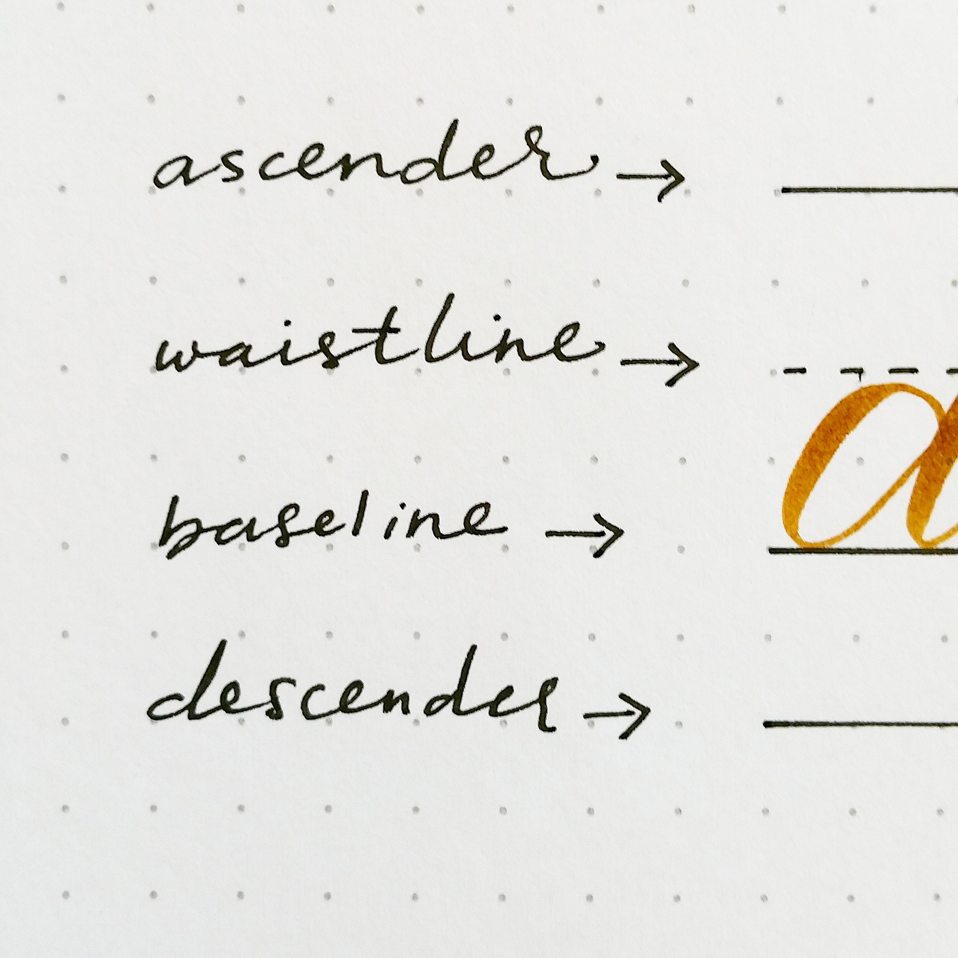 Start handlettering today and build your calligraphy foundation ...