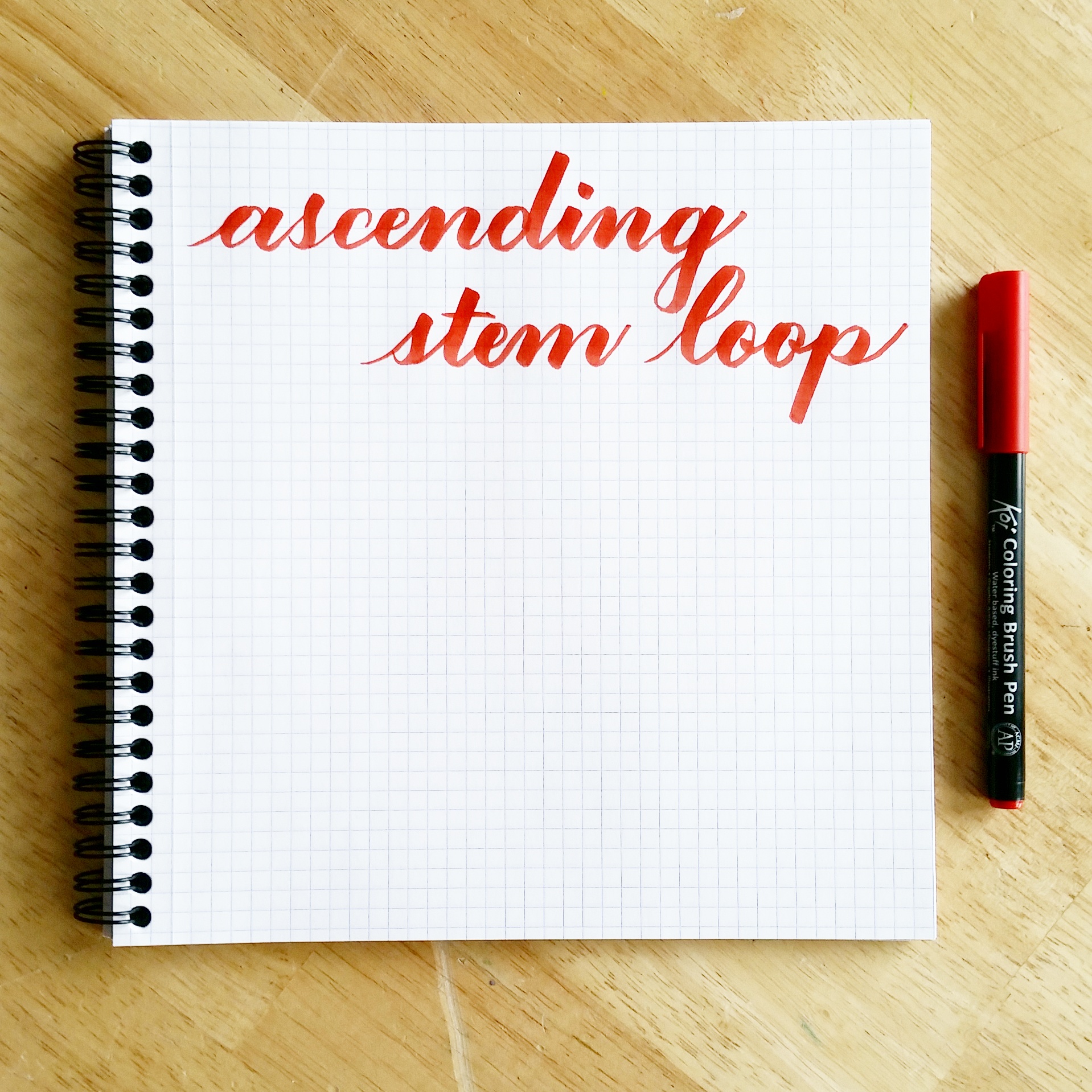 Basic brush calligraphy strokes: The ascending stem loop – Pieces ...