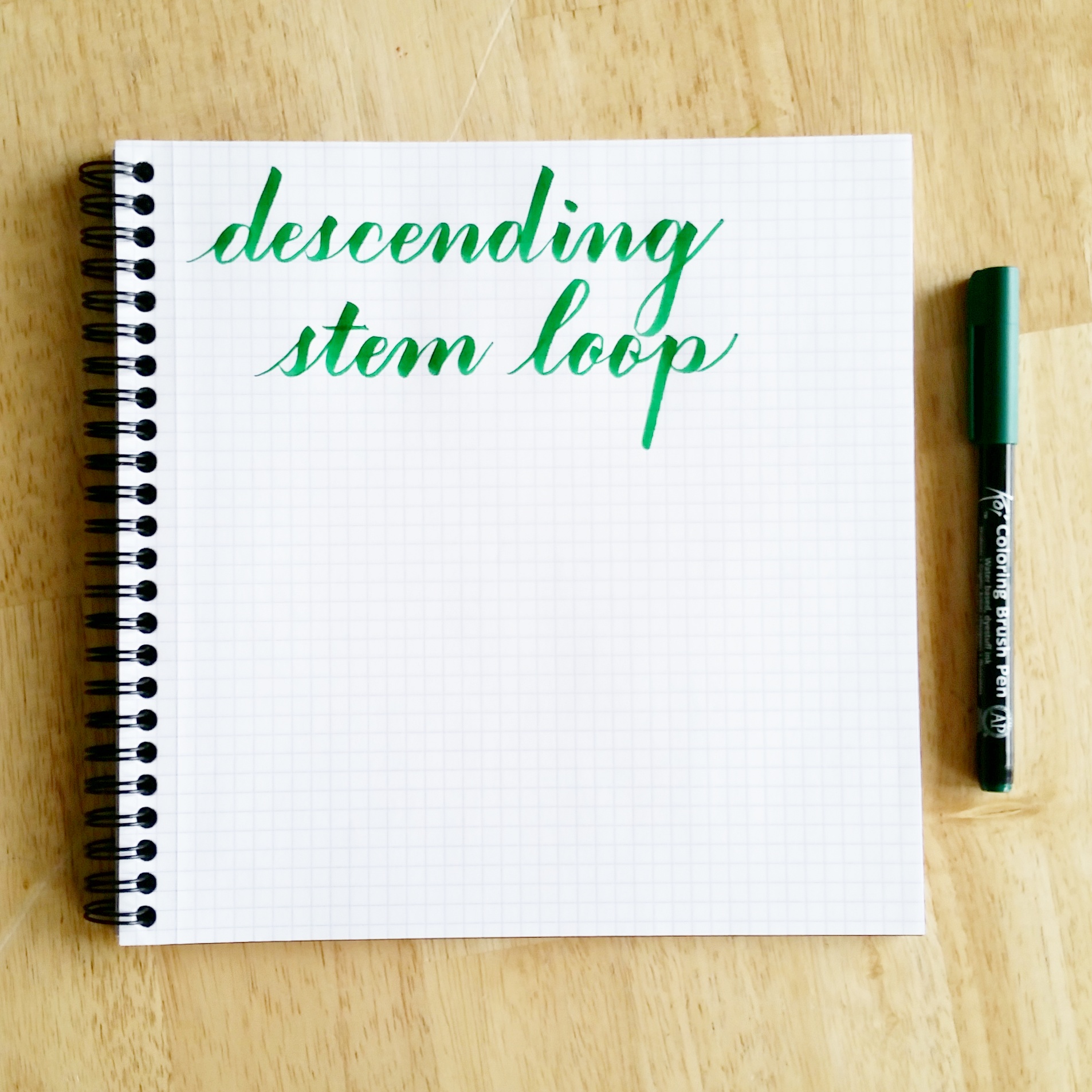 Basic brush calligraphy strokes: The descending stem loop (plus a FREE ...